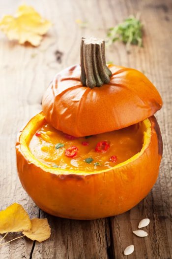 Les Variétés de Potiron en France : Guide Complet des 7 Types de Courges